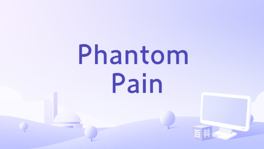 Phantom Pain_百度百科