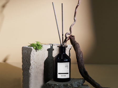 HONI EXPERIENCE_百度百科