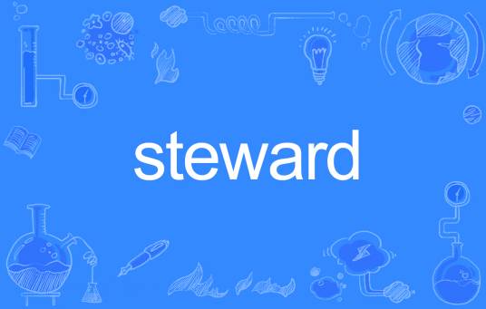 steward_百度百科