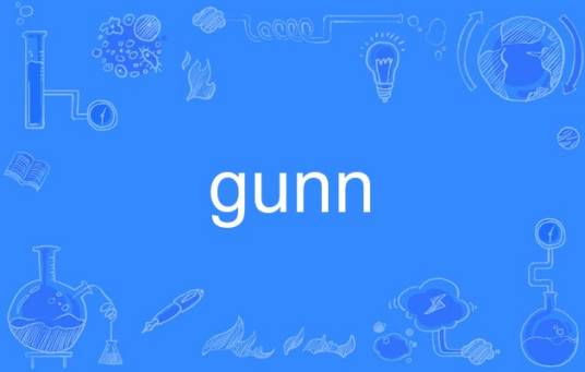 gunn_百度百科
