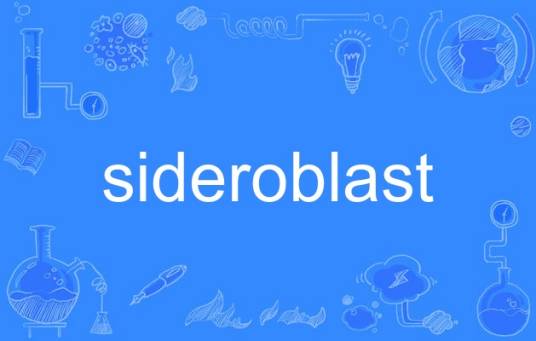sideroblast_百度百科