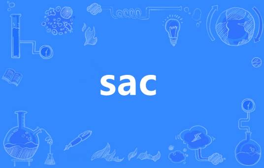 sac（英语单词）_百度百科