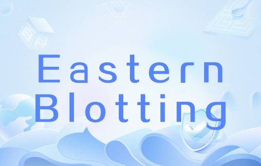 Eastern Blotting_百度百科
