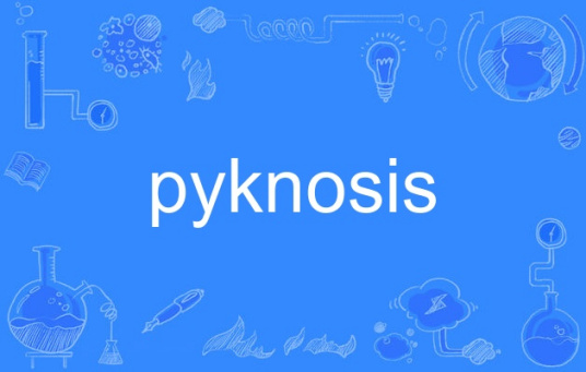 pyknosis_百度百科