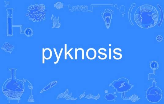 pyknosis_百度百科