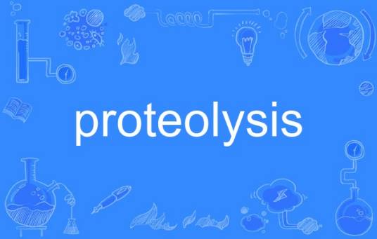 proteolysis_百度百科