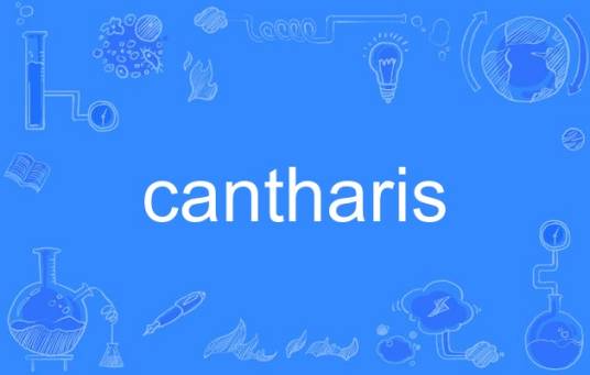 cantharis_百度百科