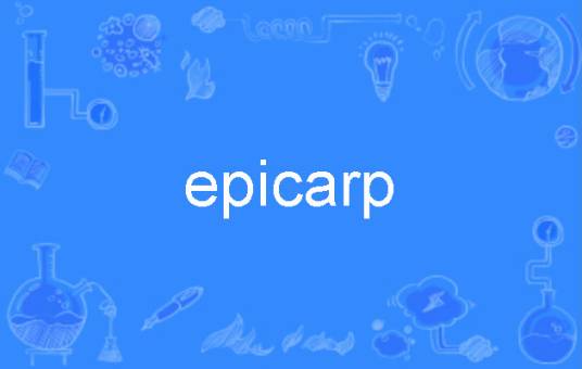 epicarp_百度百科