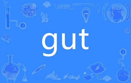 GUT（英语单词）_百度百科