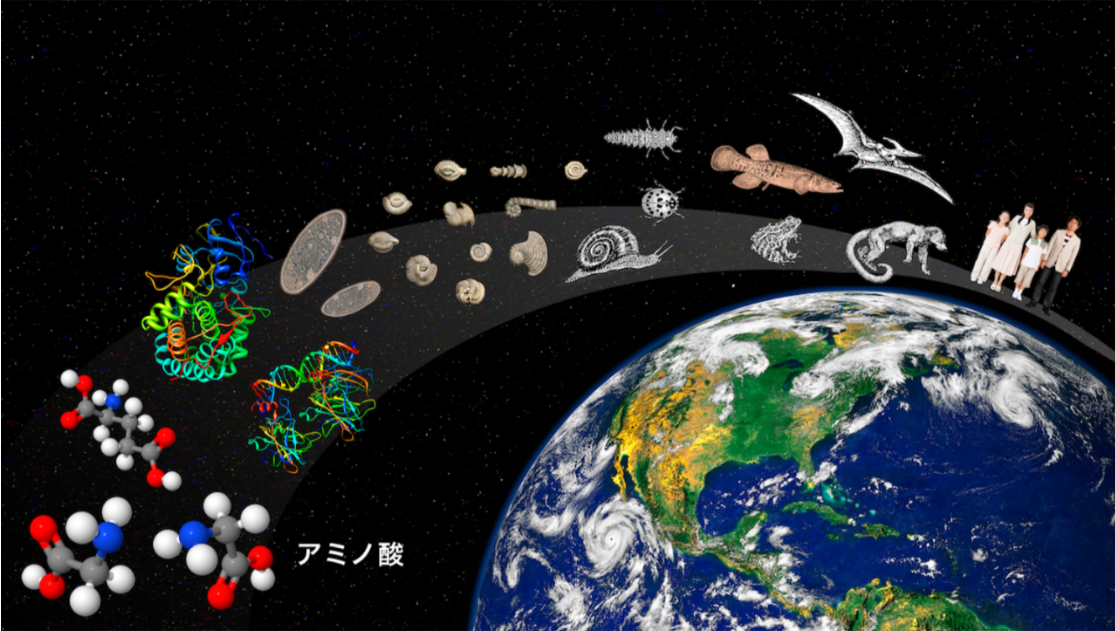 八碱基DNA结构问世_百科TA说