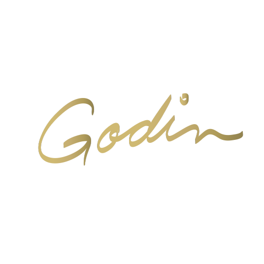 GODIN_百度百科