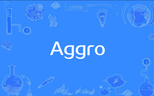 Aggro_百度百科