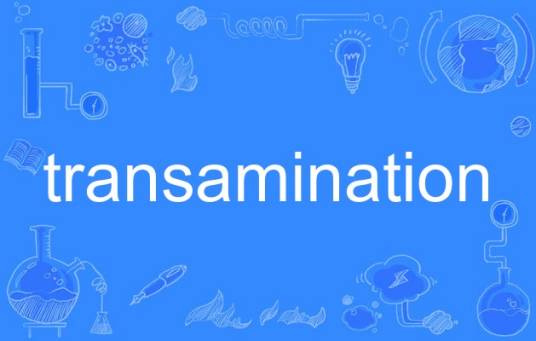 transamination_百度百科