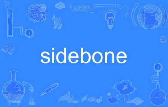 sidebone_百度百科