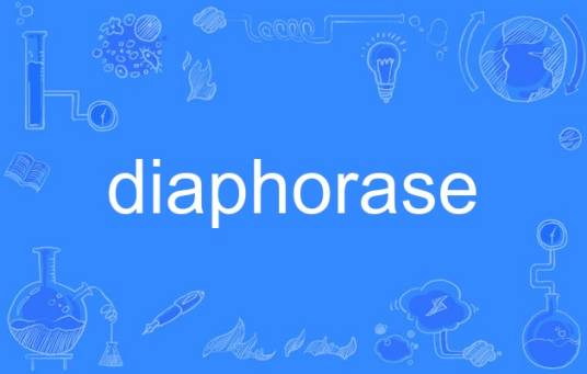 diaphorase_百度百科