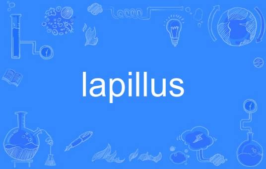 lapillus（英文单词）_百度百科