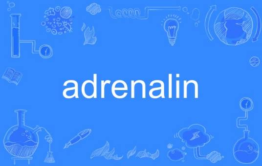 adrenalin_百度百科