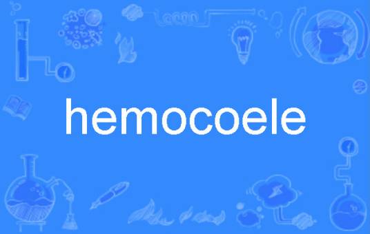 hemocoele_百度百科
