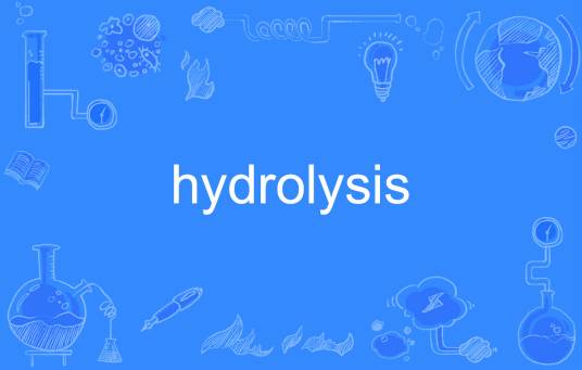hydrolysis（英文单词）_百度百科