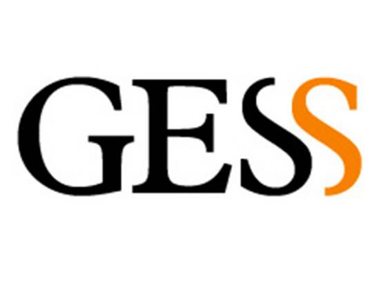 GESS_百度百科