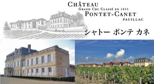 CANET_百度百科
