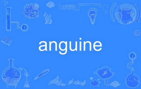 anguine_百度百科