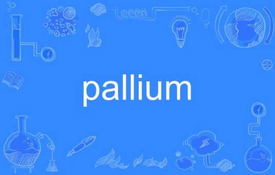 pallium_百度百科