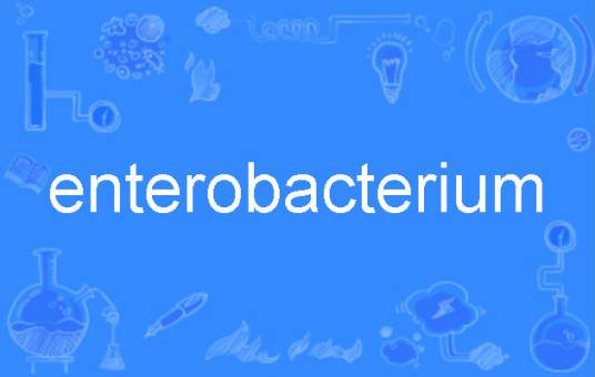 enterobacterium_百度百科