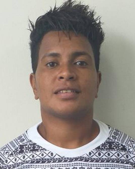 TINAI Lavenia_百度百科