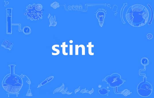 stint（英语单词）_百度百科