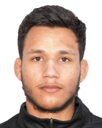 亚历山大·侯赛因_百度百科