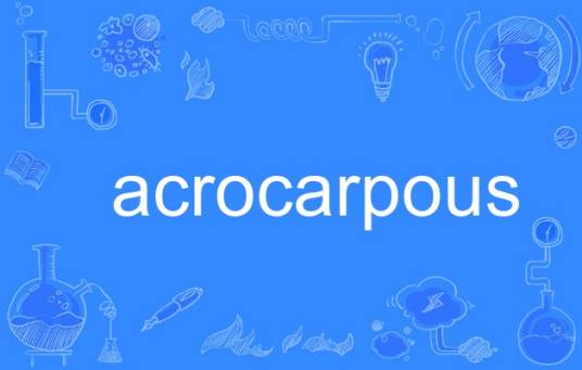 acrocarpous_百度百科