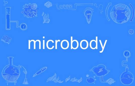 microbody_百度百科