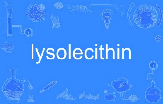lysolecithin_百度百科