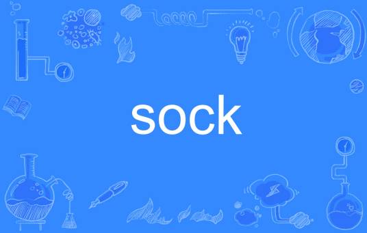 sock_百度百科