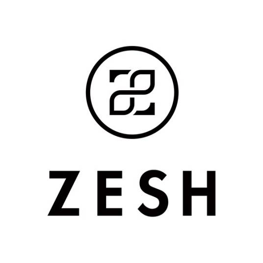 ZESH_百度百科
