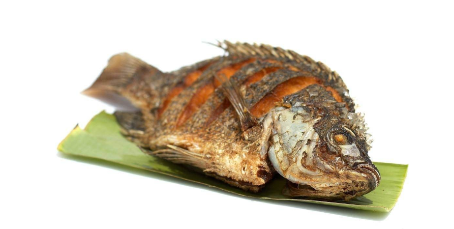 罗非鱼为什么深受欢迎？_百科TA说