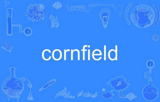 cornfield_百度百科