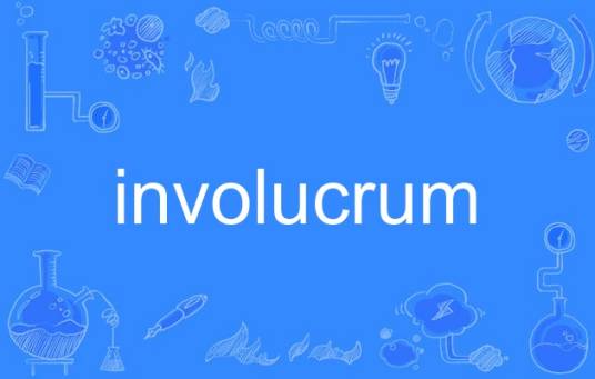 involucrum_百度百科