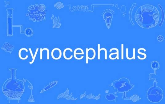 cynocephalus_百度百科
