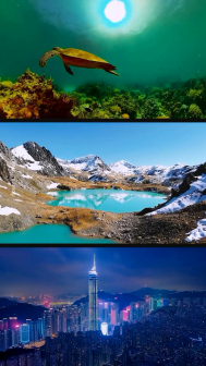 Veo（谷歌推出的AI视频生成模型）_百度百科