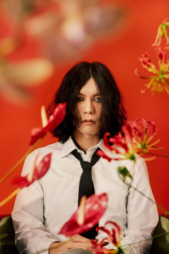 IRIS OUT_百度百科