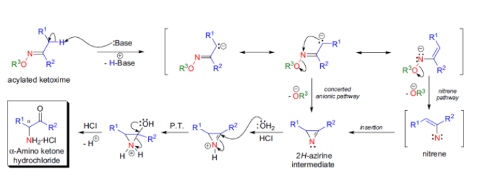 Neber重排_百度百科