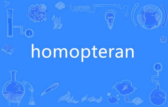 homopteran_百度百科