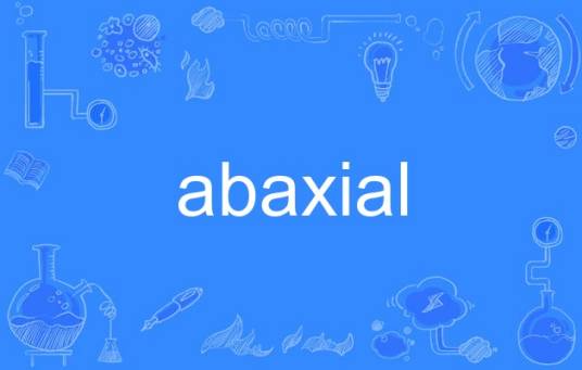 abaxial_百度百科