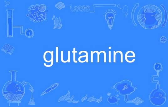 glutamine_百度百科