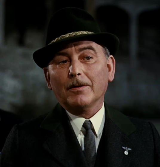 海利·兹勒_百度百科