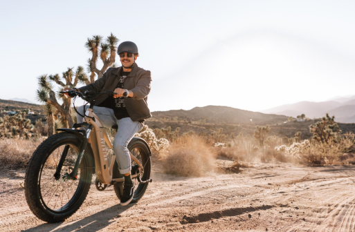 Aventon_百度百科