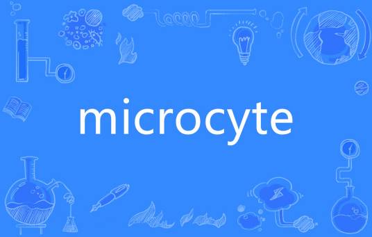 microcyte_百度百科