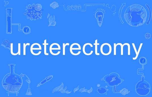 ureterectomy_百度百科